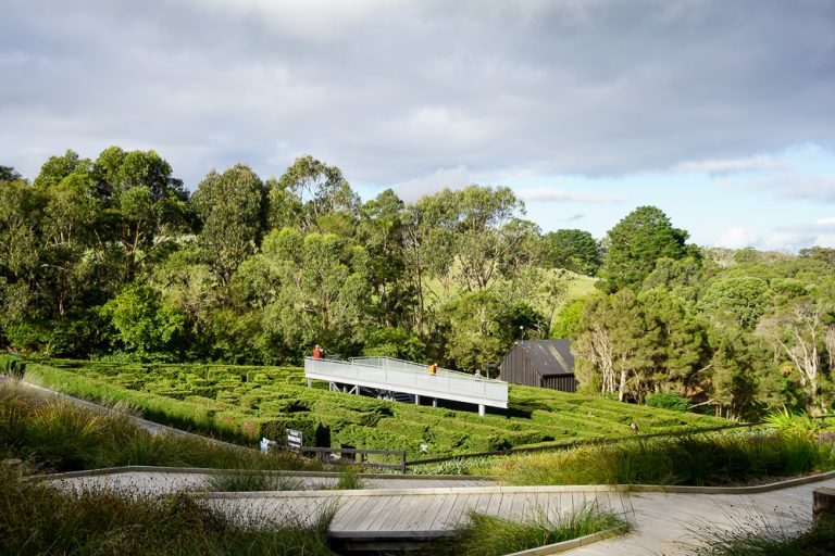 Enchanted Adventure Garden | Maze & Tree Surfing | Arthurs Seat