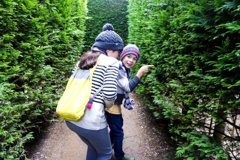 Enchanted Adventure Garden | Maze & Tree Surfing | Arthurs Seat