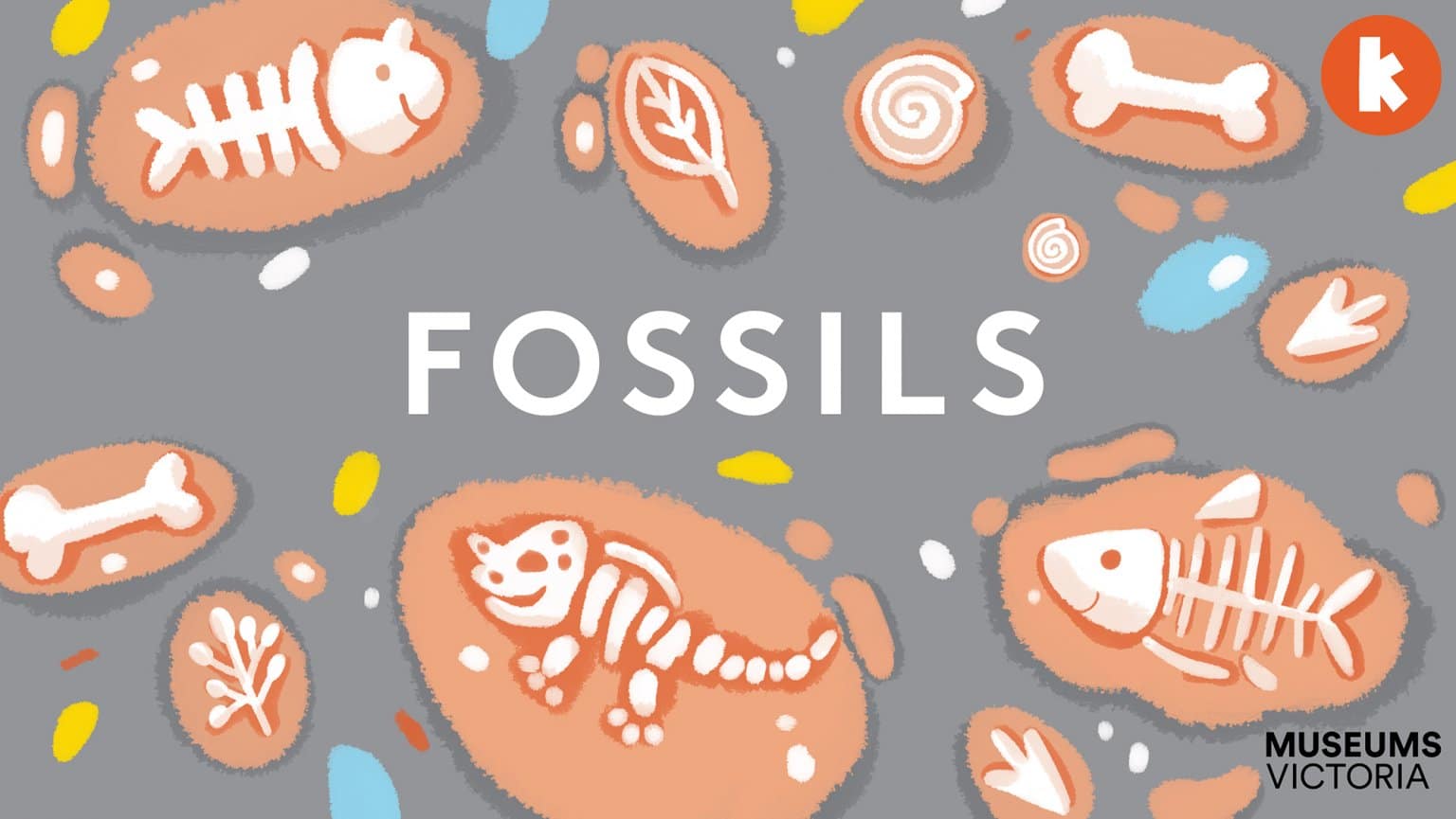 25 Best Kids Non-Fiction Podcasts • Science History Philosophy & More