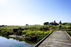 20 Best Bushwalks in Melbourne for Kids • TOT: HOT OR NOT