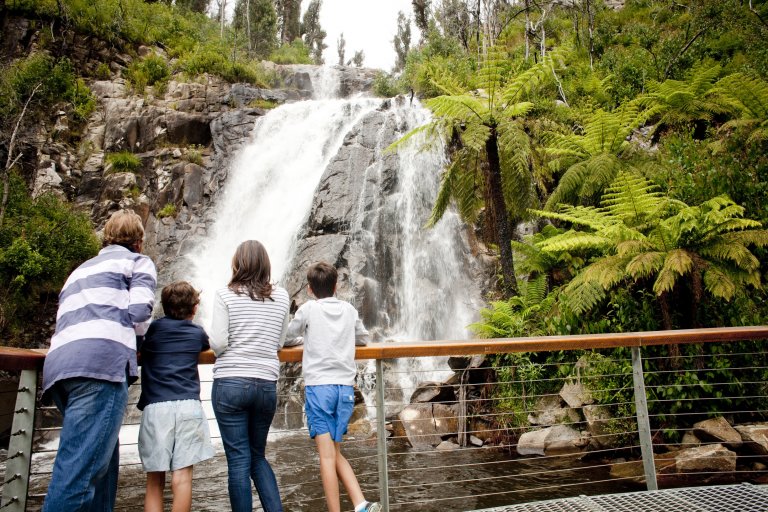 30 Best Waterfalls in Victoria for Your Next Waterfall Hike