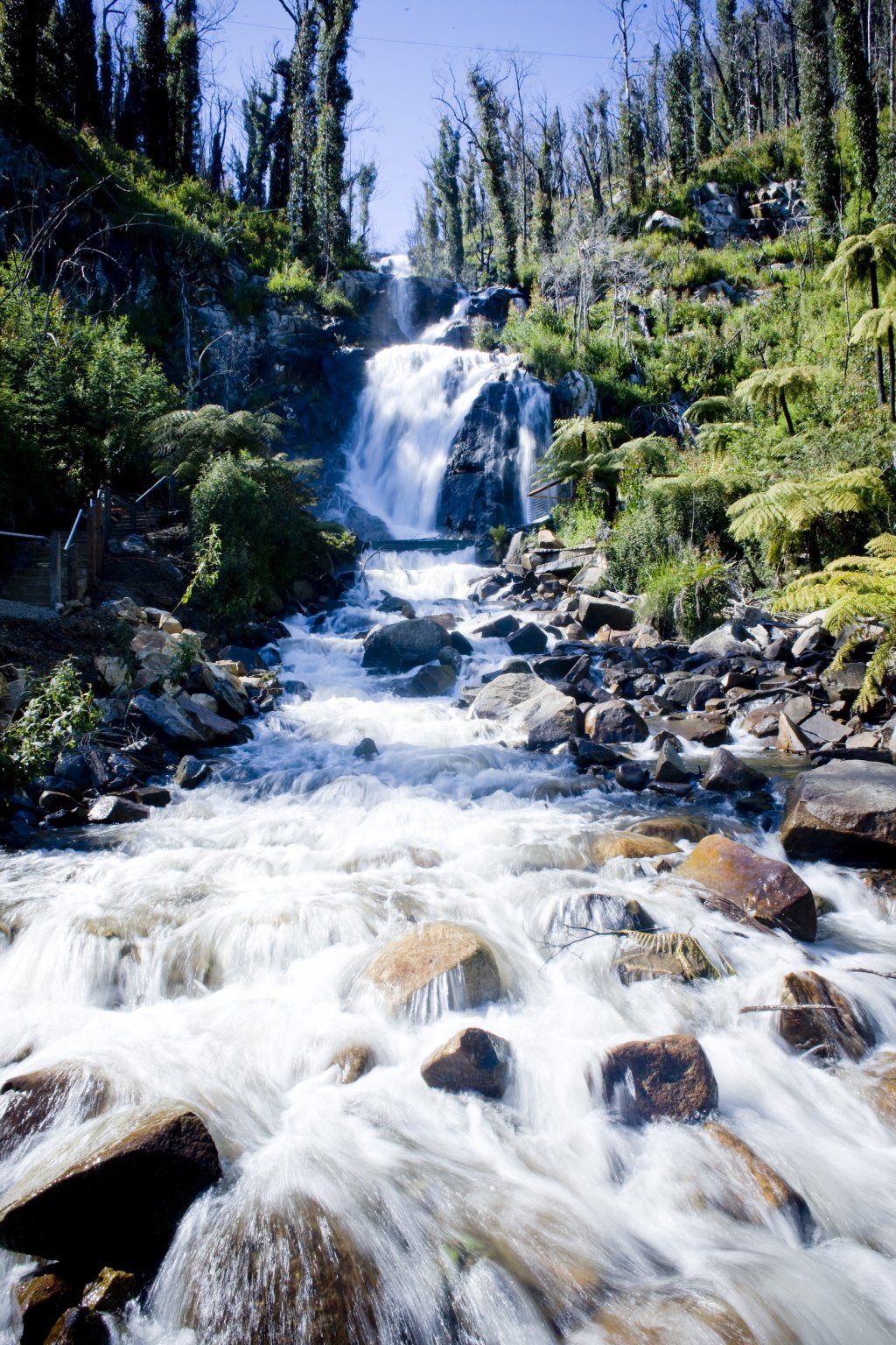 Best Waterfalls for a day trip from Melbourne | TOT: HOT OR NOT