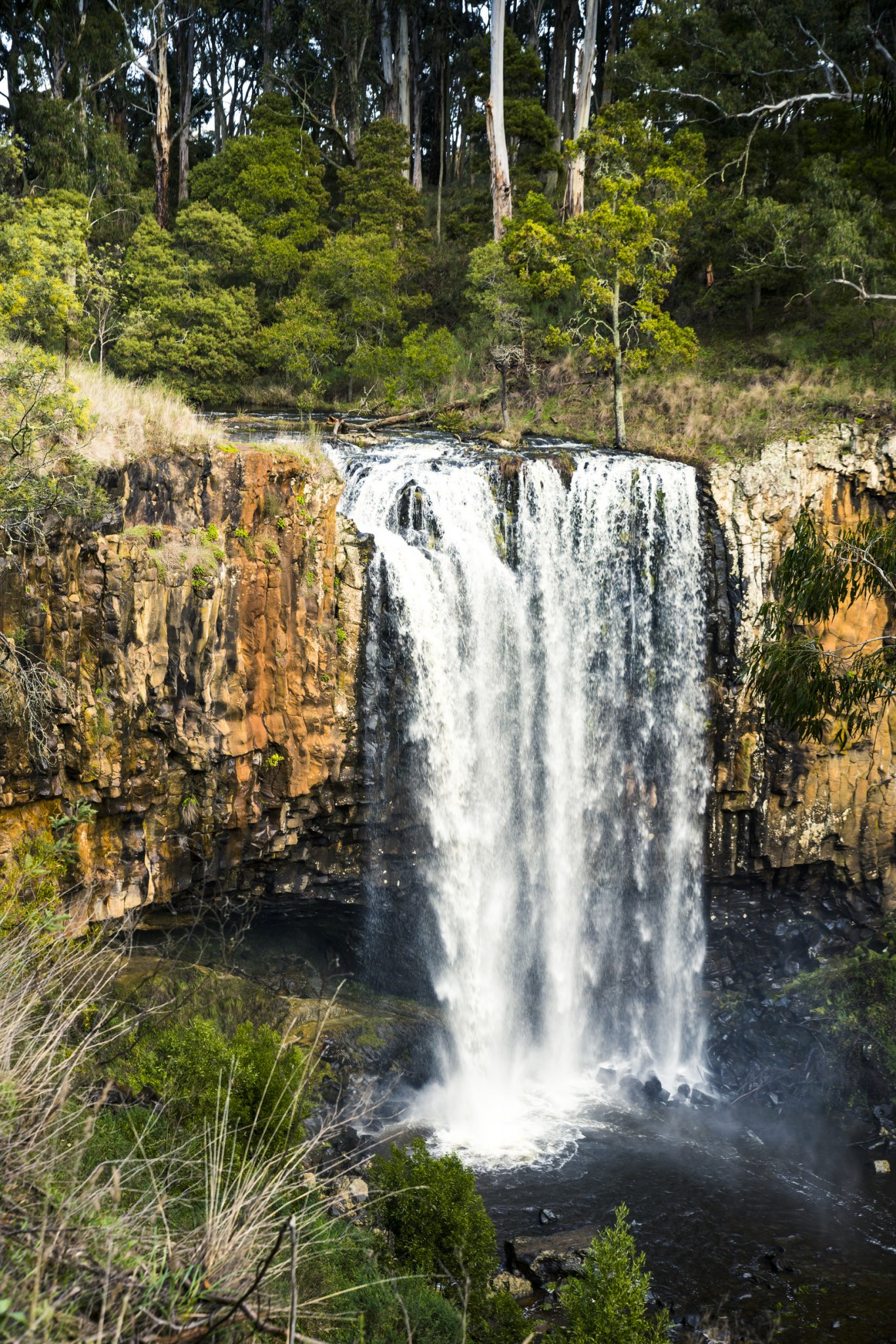 Best Waterfalls for a day trip from Melbourne | TOT: HOT OR NOT