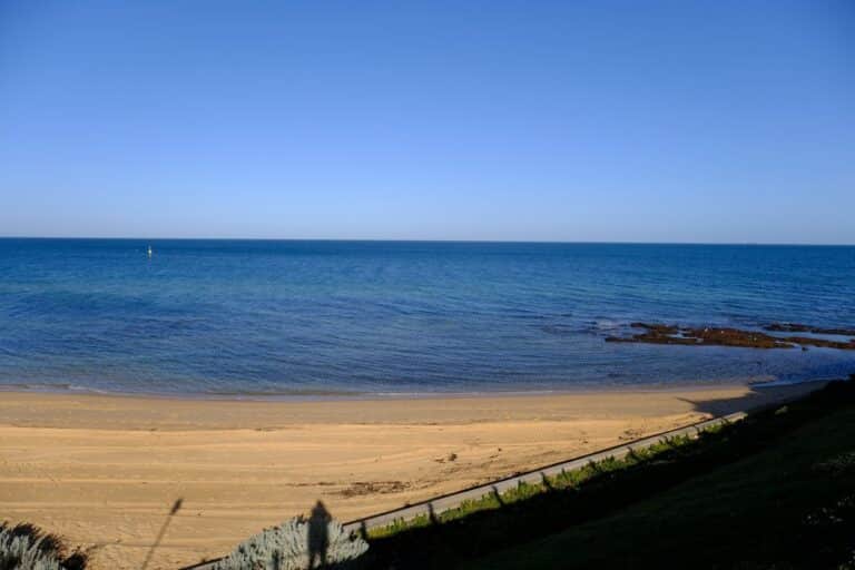 17 Best Off-Leash Dog Beaches in Melbourne (2026)