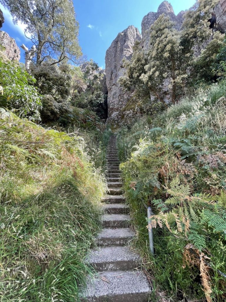 25 Best Day Hikes from Melbourne for families • TOT: HOT OR NOT