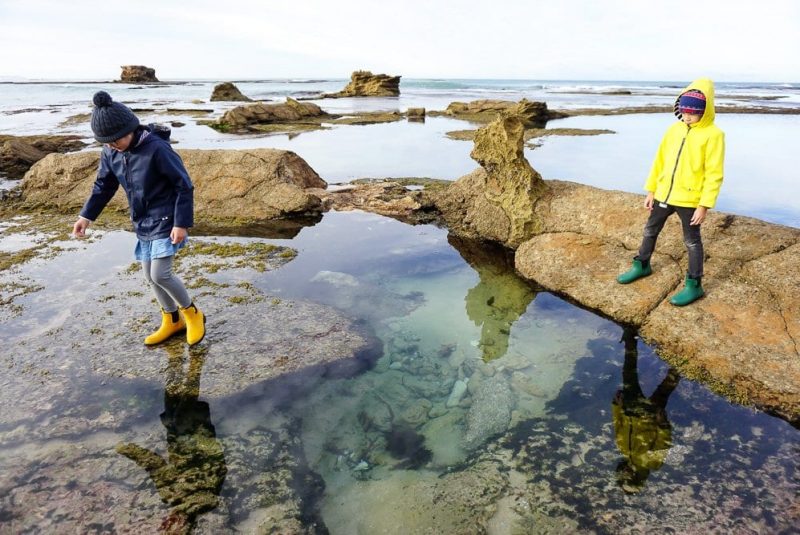 45 Best Things to do in the Mornington Peninsula with Kids