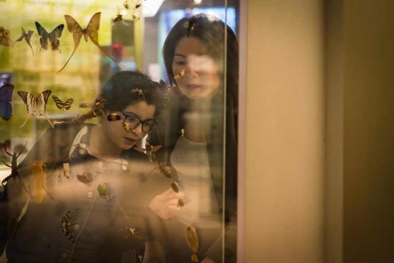Melbourne Museum for Kids: 9 Exhibits You Shouldn't Miss • TOT: HOT OR NOT