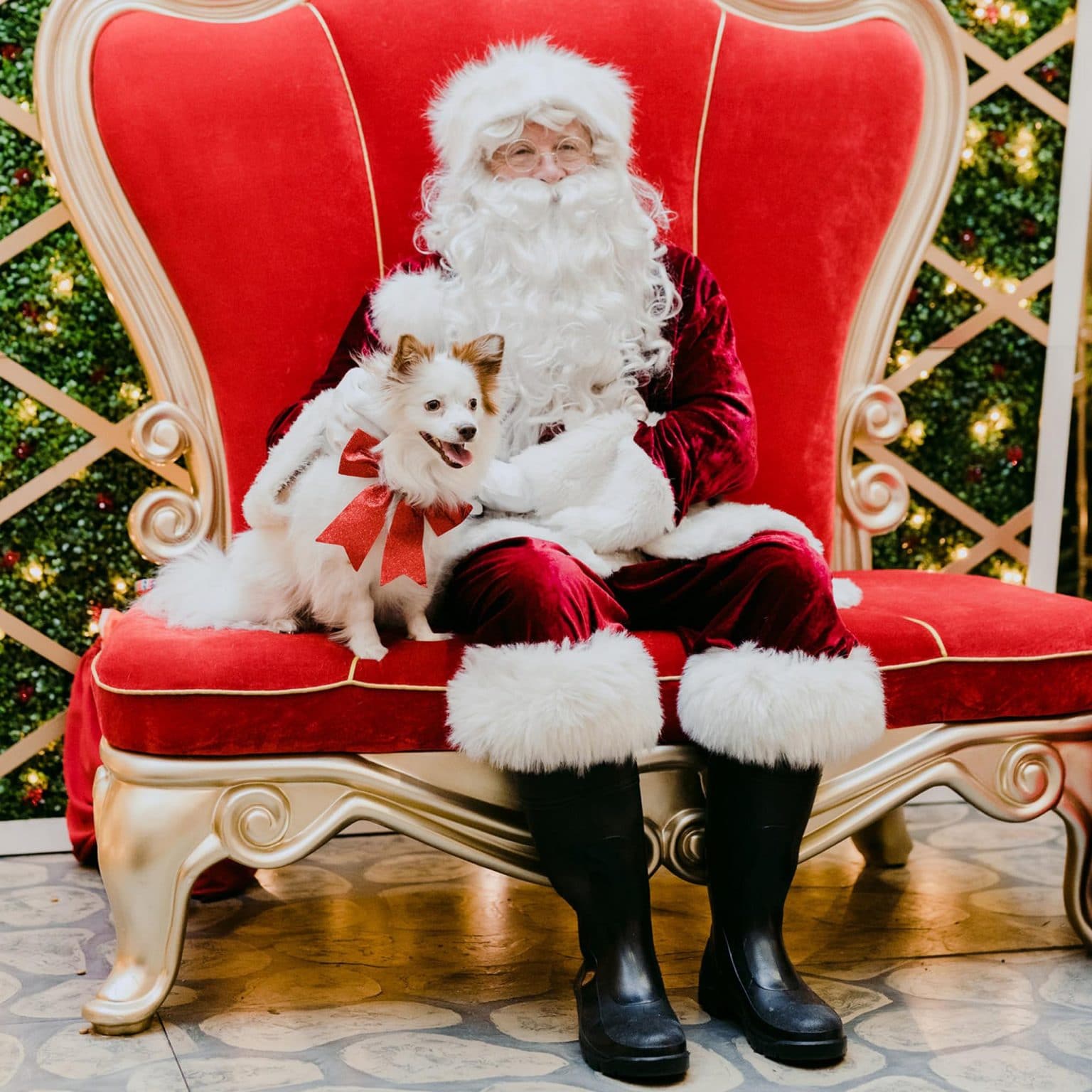 30 Best Places to Get Santa Photos Melbourne | TOT: HOT OR NOT
