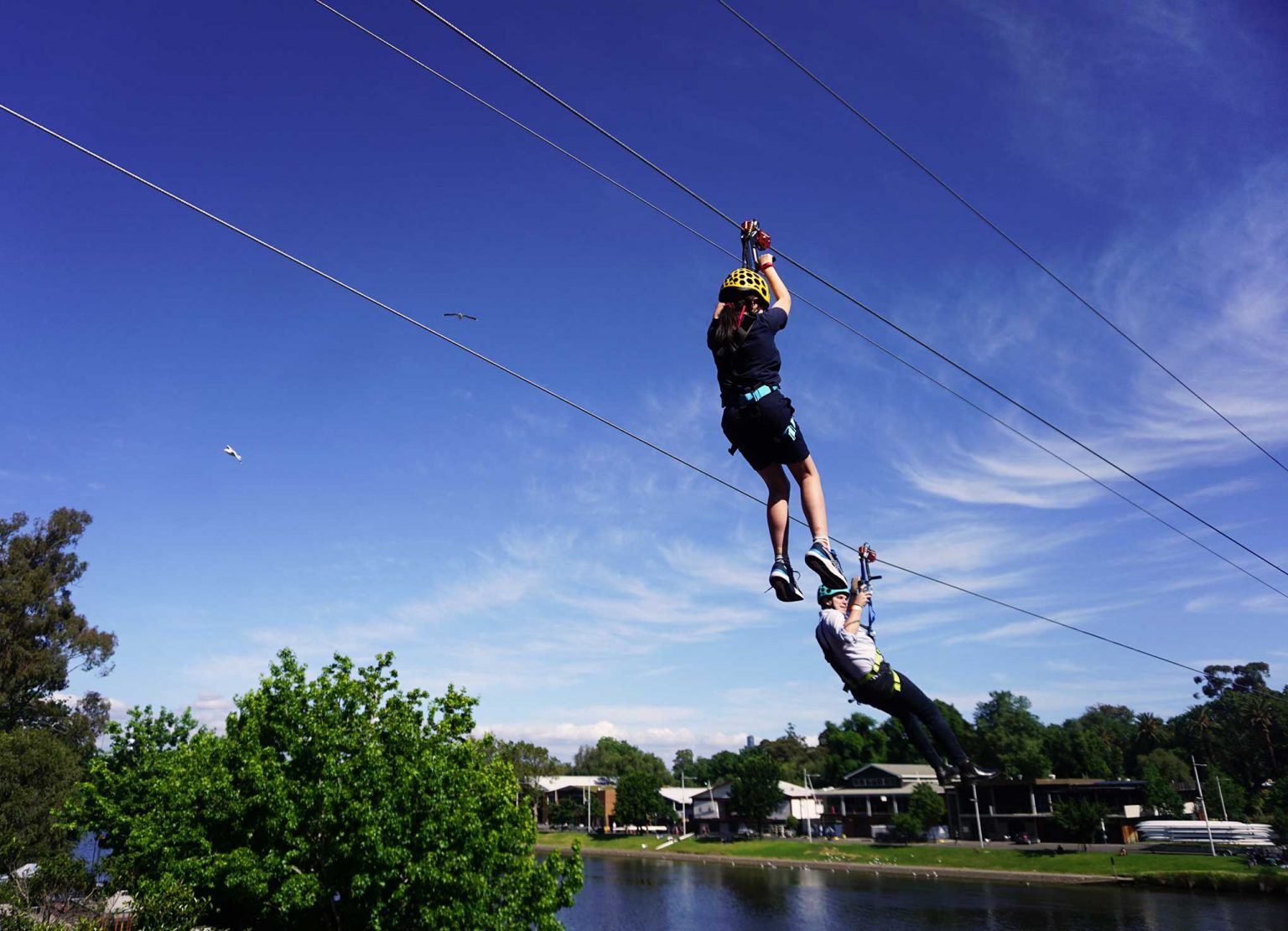 Zip Line Melbourne With Firefly Zipline • TOT: HOT OR NOT