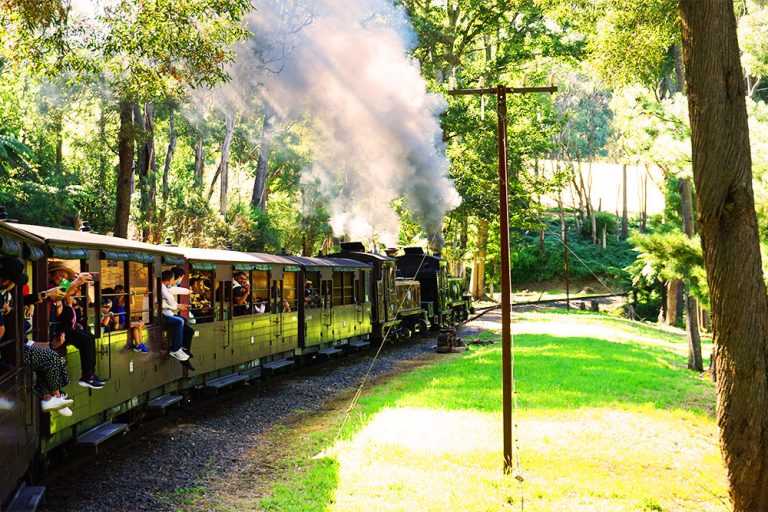 Puffing Billy | Dandenong Ranges Steam Train • TOT: HOT OR NOT