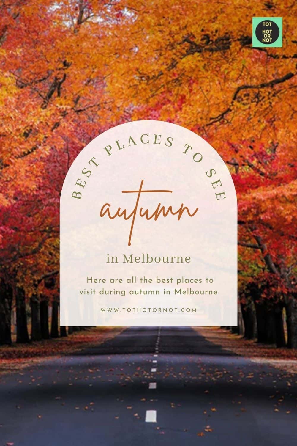 20 Best Places For Autumn Leaves Melbourne - TOT: HOT OR NOT