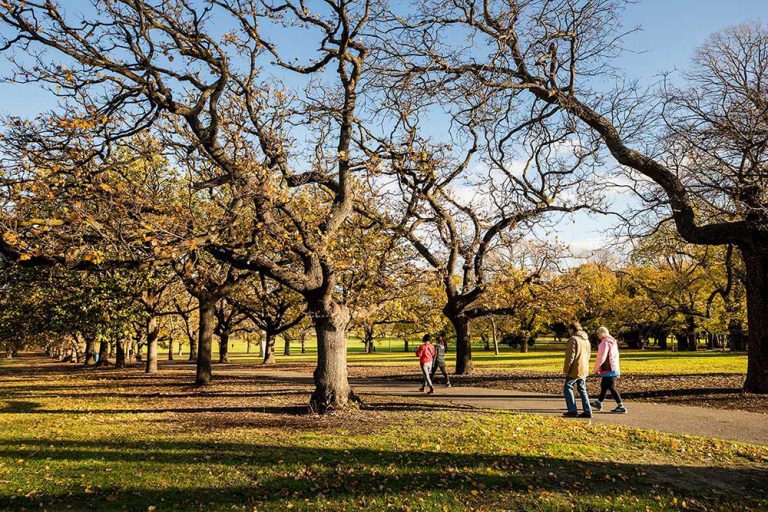 The Best Parks in Melbourne for a Relaxing Stroll • TOT: HOT OR NOT