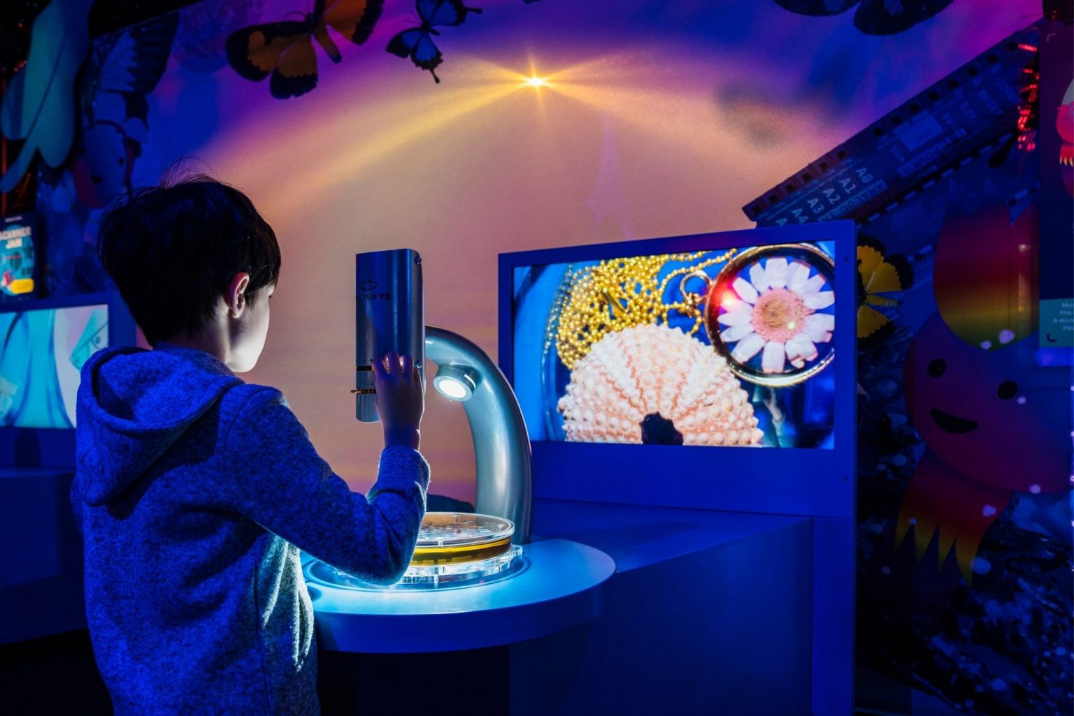 Illuminate | Scienceworks Melbourne Exhibition | TOT: HOT OR NOT