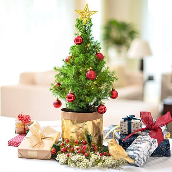 The Best Corporate Christmas Hampers | TOT: HOT OR NOT
