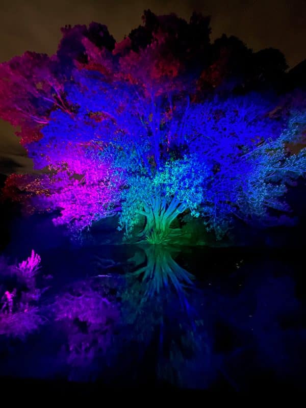 Lightscape Melbourne | Light Show Royal Botanic Gardens | TOT: HOT OR NOT