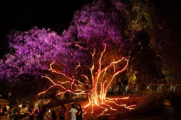 18 Light Festivals Melbourne + Regional Victoria | TOT: HOT OR NOT