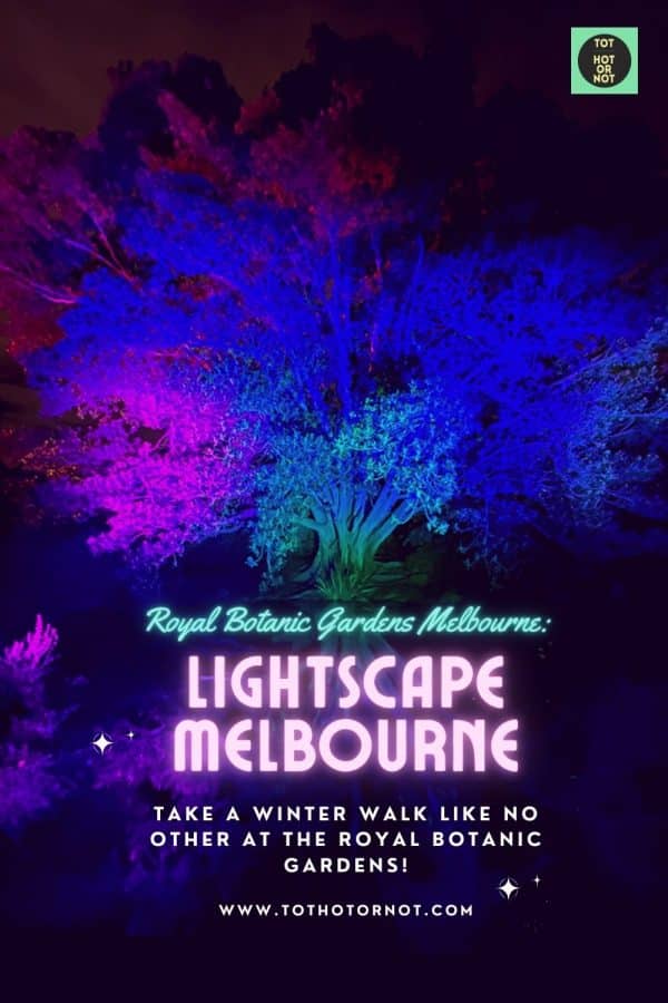 Lightscape Melbourne | Winter Light Show Royal Botanic Gardens