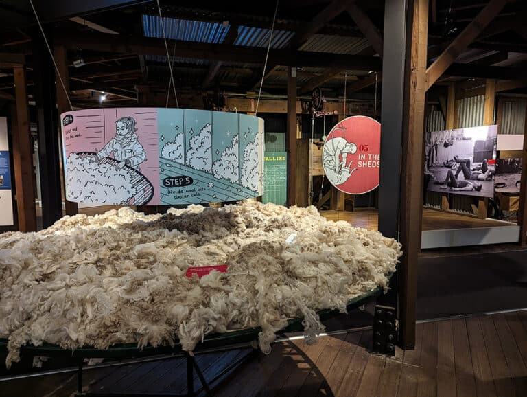 National Wool Museum Geelong | TOT: HOT OR NOT