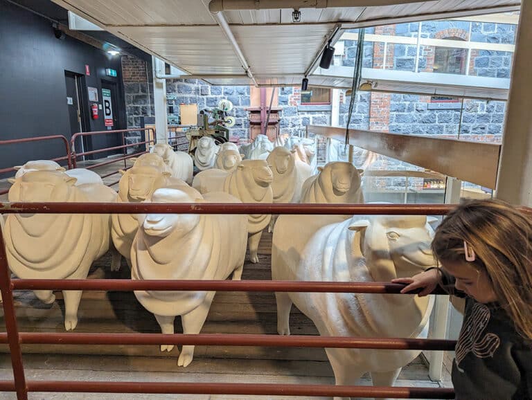 National Wool Museum Geelong | TOT: HOT OR NOT