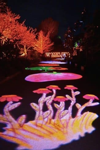 Lightscape Melbourne | Winter Light Show Royal Botanic Gardens