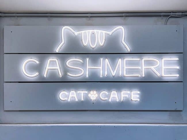 Visit Cashmere Cat Cafe Melbourne - Tot Hot or Not