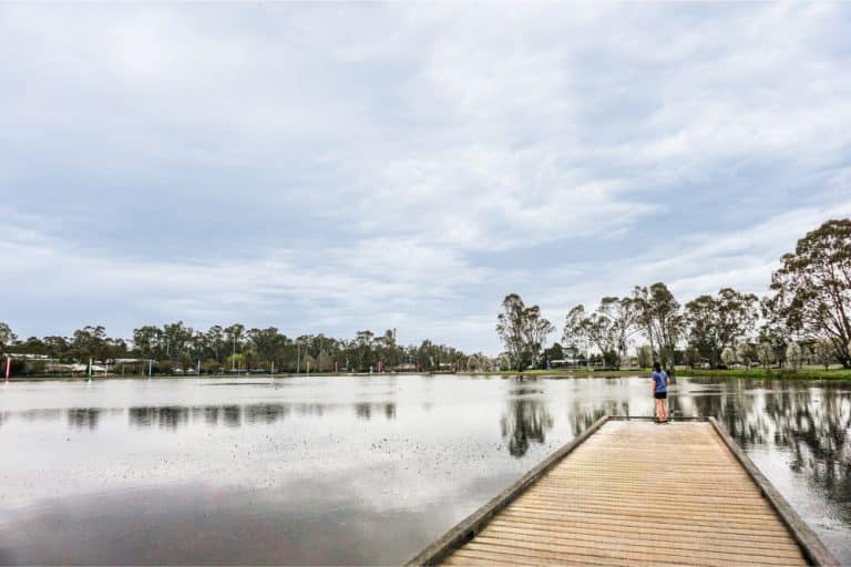 20 Best Things to Do in Shepparton with Kids